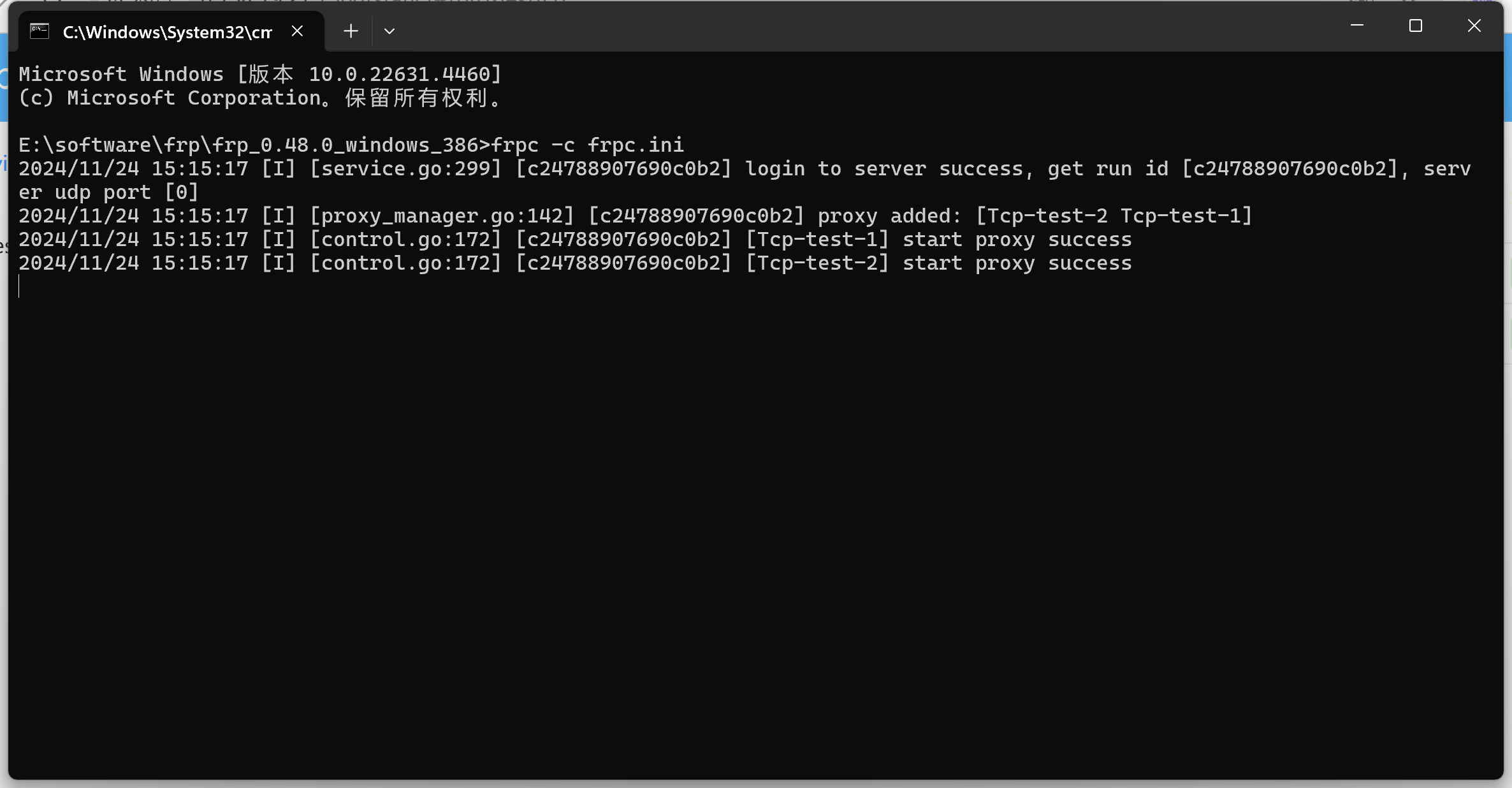 Linux 安装 Frp 内网穿透_linux安装frp-CSDN博客