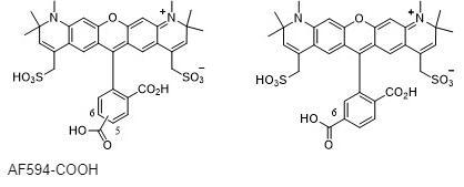 AF594 acid，2148906-06-1，AlexaFluor594羧酸，AF594， 是一种水溶性的荧光染料，发光效率高-CSDN博客