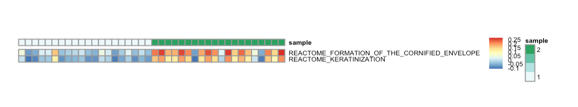 TCGA 数据分析实战 —— GSVA、ssGSEA 和单基因富集分析_gsva富集分析-CSDN博客