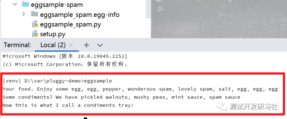 Pytest核心组件：pluggy插件系统（三）python Pluggy Csdn博客