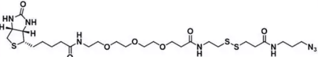 908007-17-0，Biotin-N3/Azide，Biotin-PEG3-SS-Azide生物素双硫键修饰叠氮N3化合物-CSDN博客