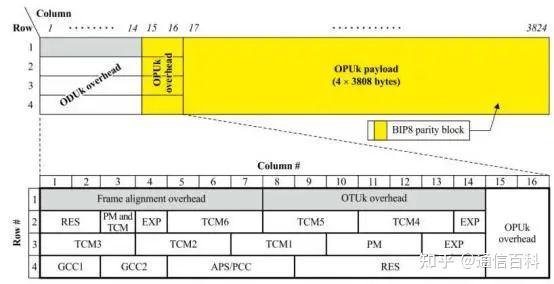 光传送网OTN的速率解析_otn100g帧结构-CSDN博客