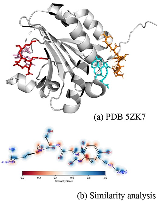 复旦大学王满宁团队提出PGBind模型，通过基于口袋引导的显性注意力机制预测蛋白质-配体对接-CSDN博客
