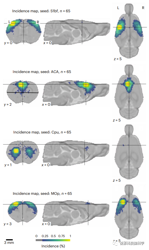 Nature neuroscience：大鼠功能连接分析的共识方案_大鼠fmri-CSDN博客