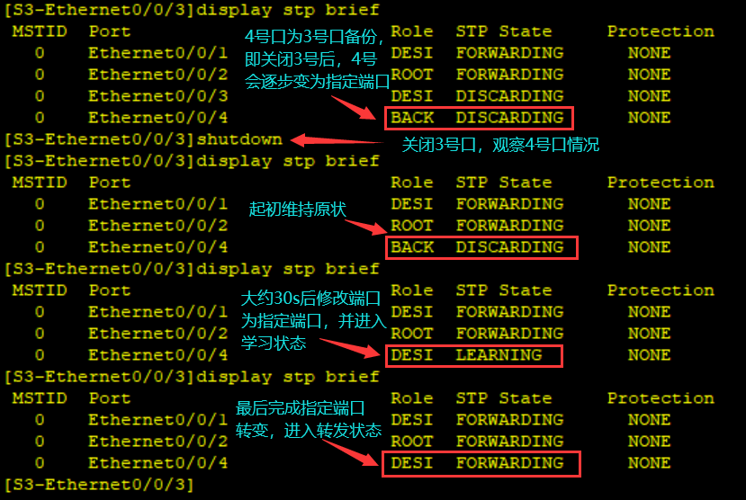 RSTP协议的原理与应用【eNSP实现】_rstp的应用-CSDN博客