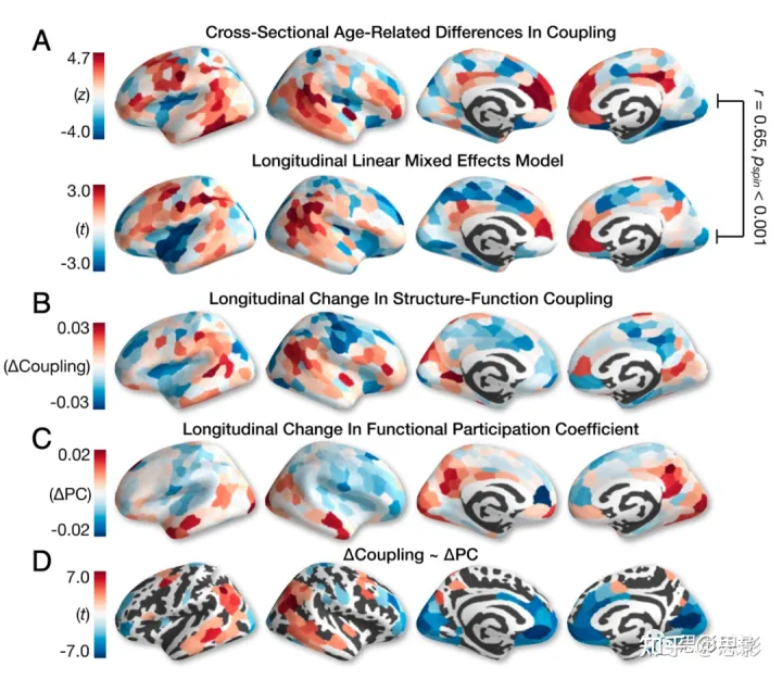 PNAS：青年时期人脑网络结构-功能耦合的发展_大脑coupling-CSDN博客