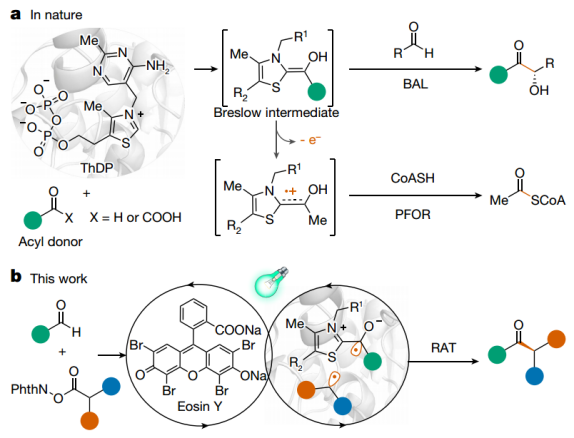 C9高校，又中一篇Nature！-CSDN博客