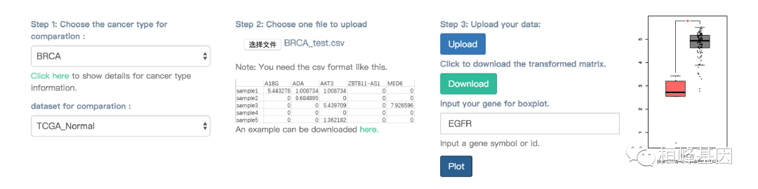 RNA 30. SCI文章中基于TCGA和GTEx数据挖掘神器（GEPIA2）-CSDN博客