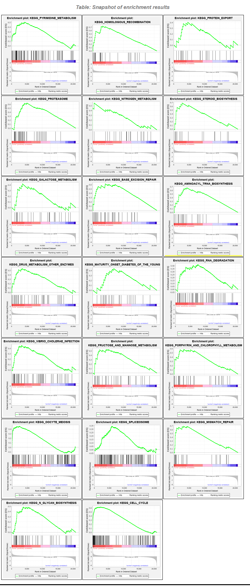 gsea富集分析结果怎么看_使用GSEA软件进行基因集富集分析 – 源码巴士