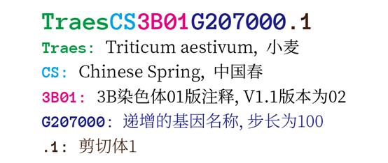 seqkit根据基因id_小麦注释基因不同ID之间的转换-CSDN博客