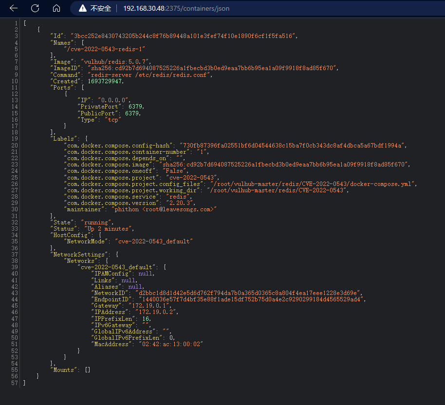 Docker 远程API未授权及Tenable扫描测试_docker api 未授权-CSDN博客
