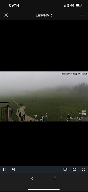 H.265流媒体视频播放器EasyPlayer在ios设备上播放出现画面拉伸情况的优化_ios播放h265-CSDN博客