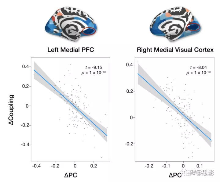 PNAS：青年时期人脑网络结构-功能耦合的发展_大脑coupling-CSDN博客