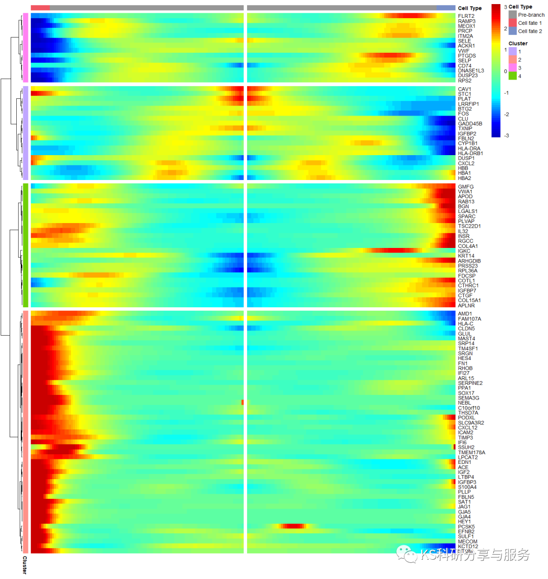 跟着Cell学单细胞转录组分析(十):Monocle2拟时分析演示之结果可视化（下）_细胞拟时间分析 密度图-CSDN博客