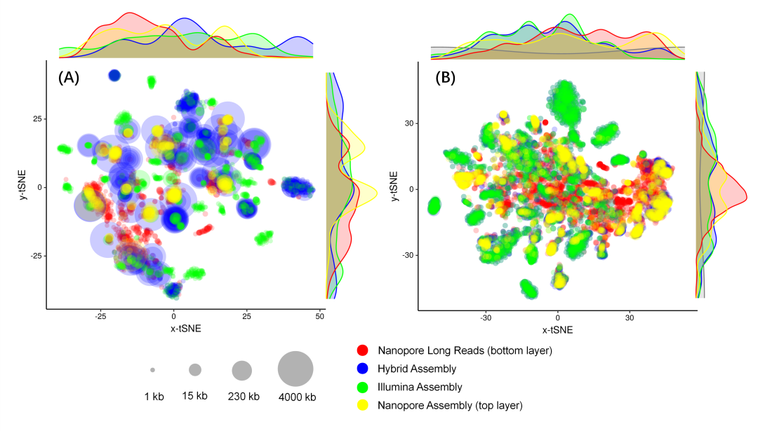 iMeta | 南科大夏雨等综述二三代宏基因组分析的策略和工具(Illumina & Nanopore)-CSDN博客