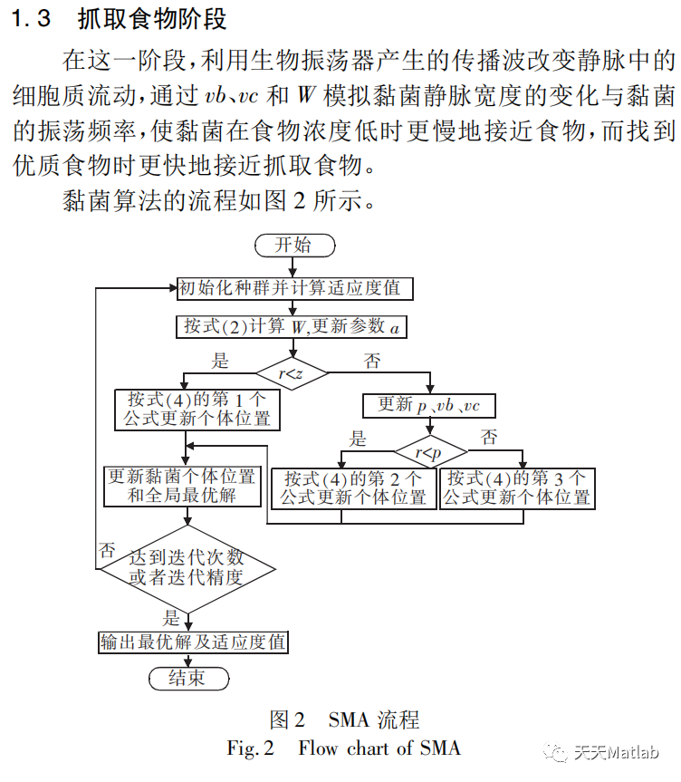 【黏菌优化算法】精英反向与二次插值改进的黏菌算法(ISMA)求解单目标优化问题含Matlab源码_smellindex=sort()表示什么-CSDN博客