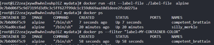 【Docker学习】docker run的标签相关选项（-l, –label, –label-file）_docker run label-CSDN博客