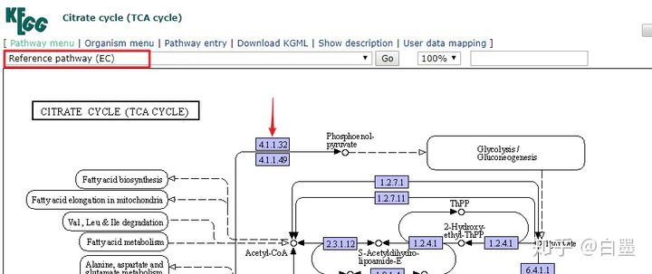一文快速读懂 KEGG 数据库与通路图_kegg通路图怎么看-CSDN博客