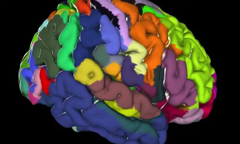 3D大脑图谱-Julich-Brain被称作“Google Earth of the brain”-CSDN博客