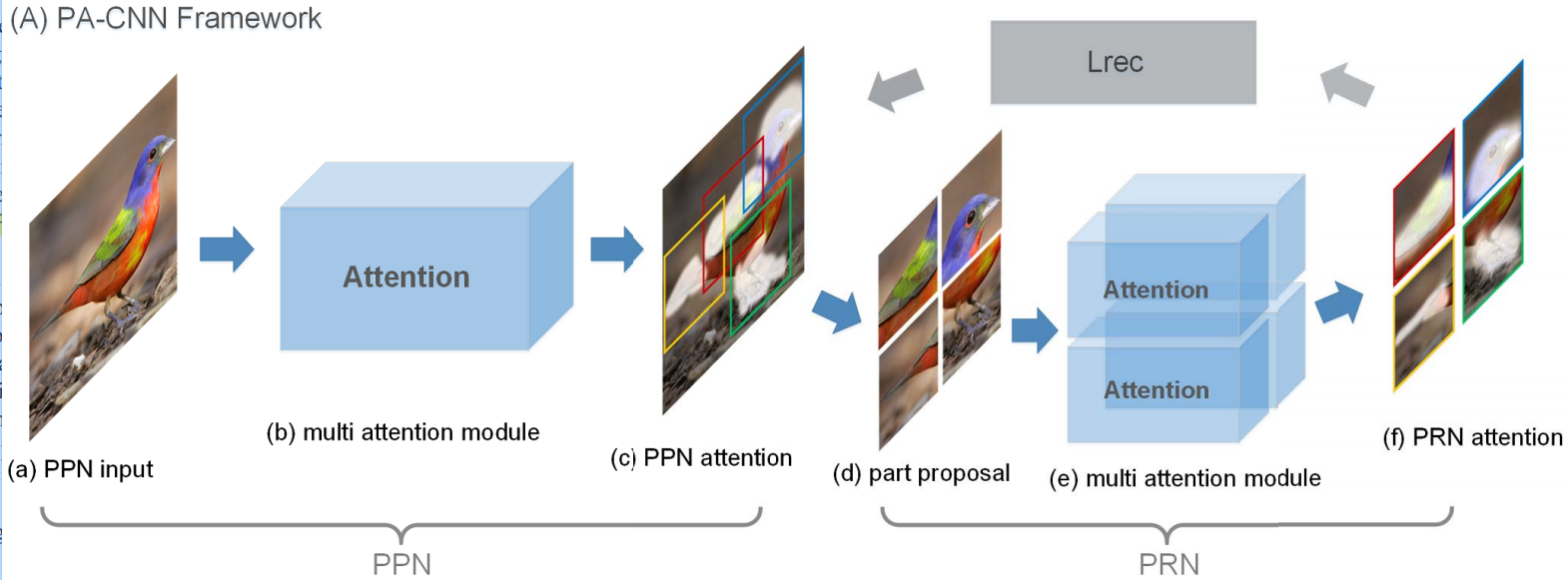 论文阅读：PA-CNN_pacnn-CSDN博客