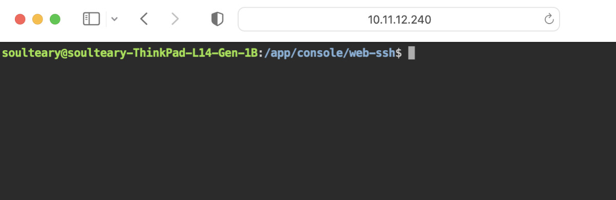 使用 Docker、Nginx 和 ttyd 提供稳定的 Web 终端服务_docker部署ttyd-CSDN博客