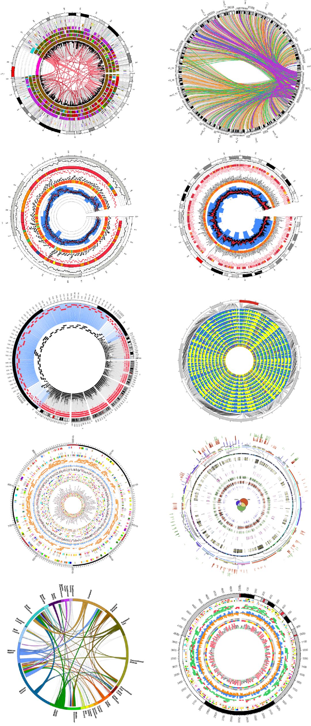 cpan安装_那些惊艳到你的circos 图是怎么来的？Perl 版Circos 基础篇安装-CSDN博客
