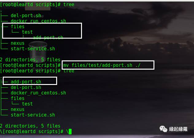 linux将文件txt重命名为bak,linux命令每日一篇之文件操作（三）-CSDN博客