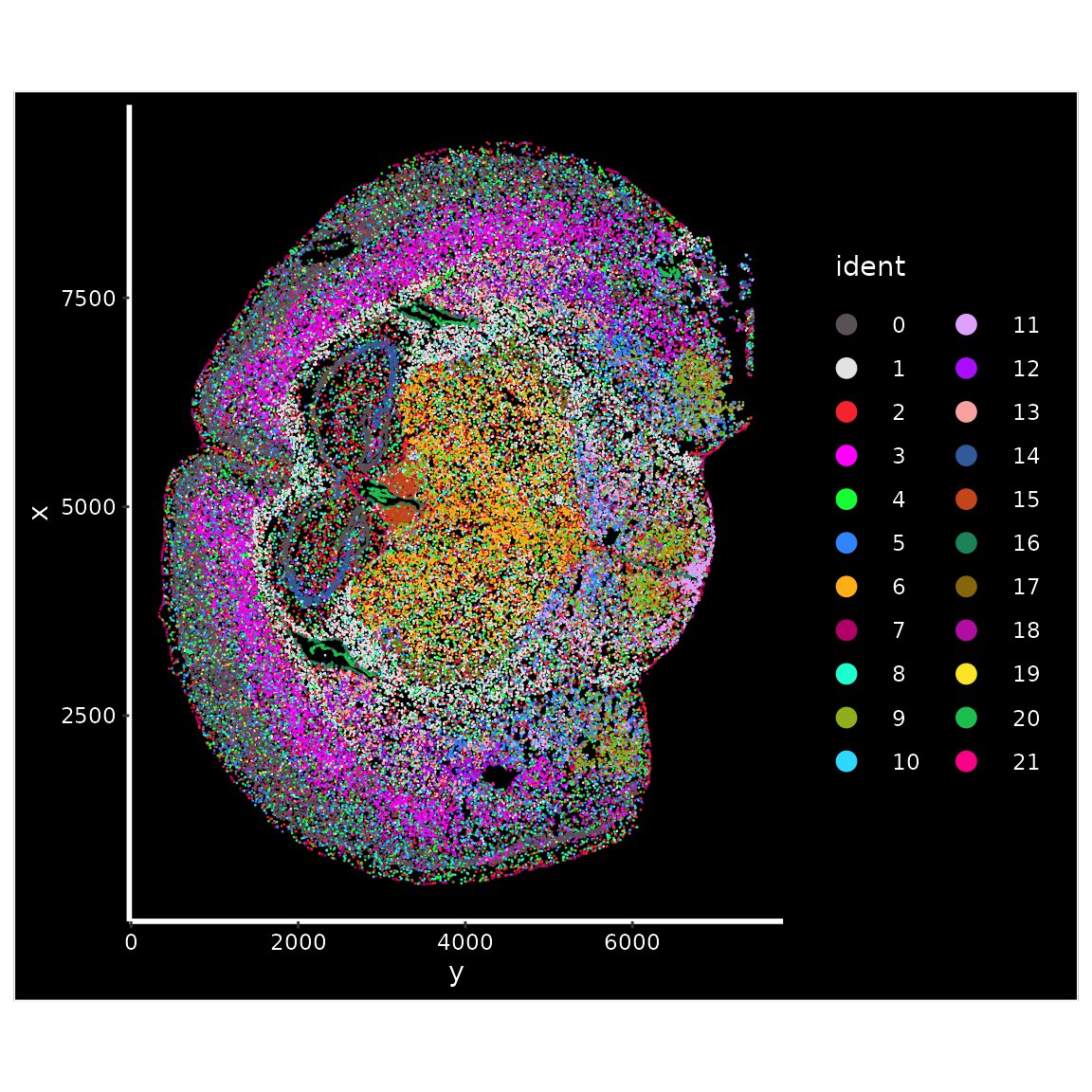 Seurat V5 | 最火的单细胞测序分析工具重磅更新啦！~_seurat5-CSDN博客