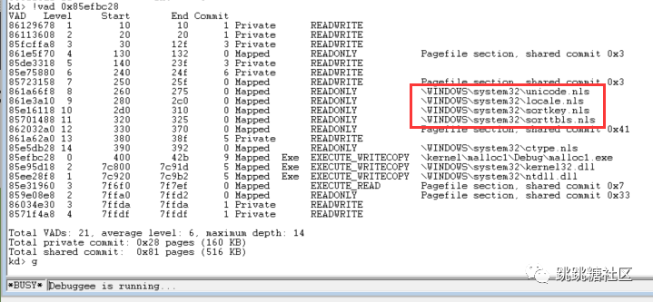 对抗无落地的shellcode注入_rtlwalkframechain-CSDN博客