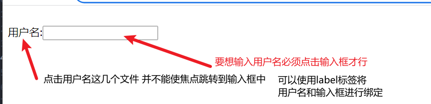 HTML——label标签_html label标签-CSDN博客