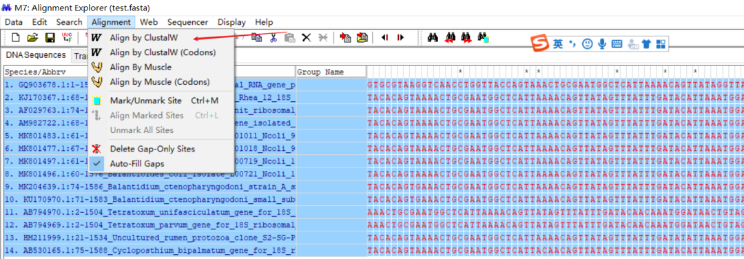 treeview控件怎么使用修改发育树_MEGA7.0制作系统发育进化树-CSDN博客