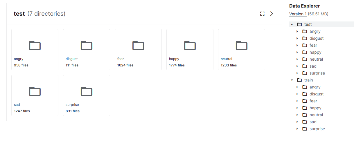 FER2013人脸表情识别从零实现（Pytorch，FNN，CNN）-CSDN博客