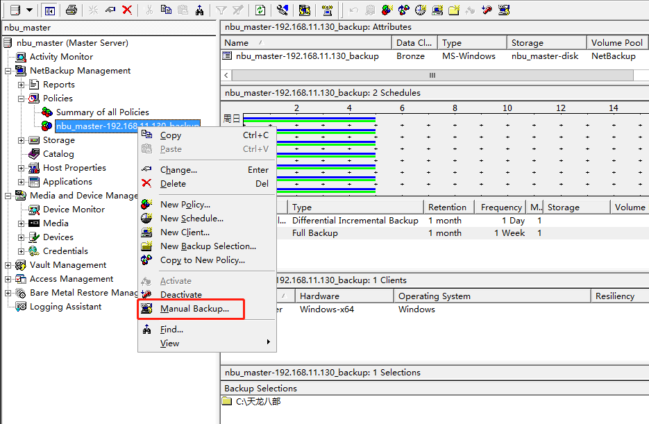 nbu备份nas文件服务器,NBU备份恢复实践_weixin_39878991的博客-CSDN博客