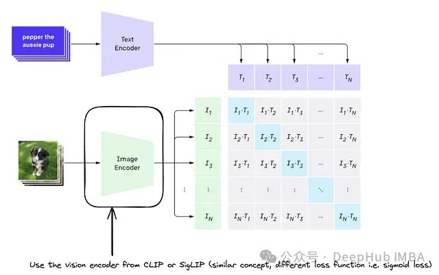 使用Pytorch构建视觉语言模型（VLM）_vlm使用教程-CSDN博客