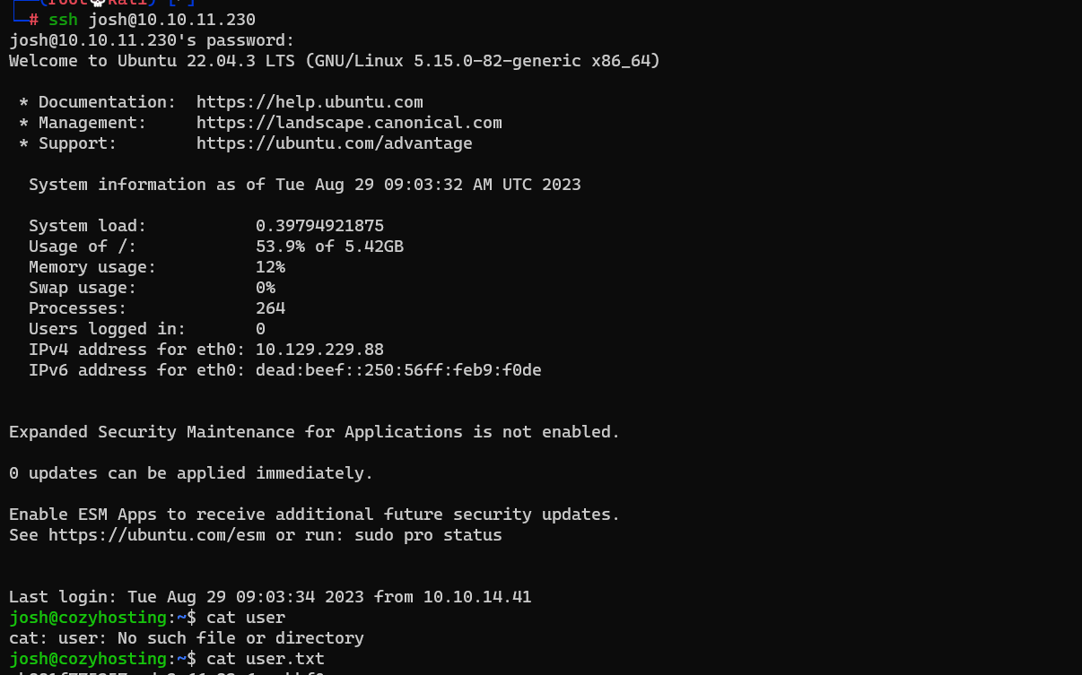 HTB-CozyHosting_Som3B0dy的博客-CSDN博客