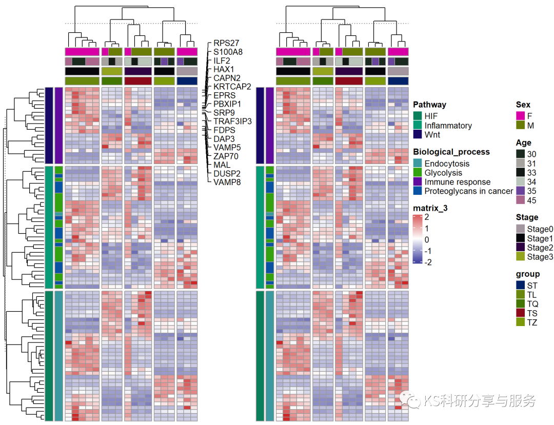 ComplexHeatmap画复杂热图行列注释_complexpheatmap-CSDN博客