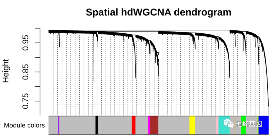 SCS【37】hdWGCNA在空间转录组学中的作用-CSDN博客