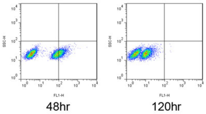 CYTO-ID®长期细胞示踪试剂盒（绿色/红色）-CSDN博客
