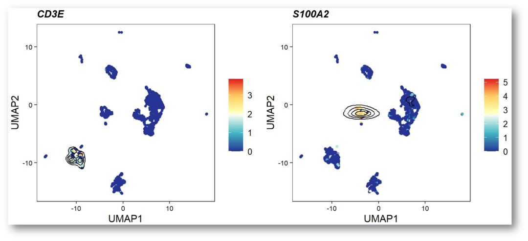 （视频教程）单细胞marker基因展示值等高线密度图_如何基因的umap映射图-CSDN博客