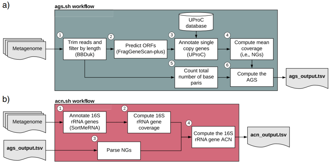 AGS-and-ACN | 从宏基因组中计算微生物基因组大小和16s rRNA拷贝数-CSDN博客