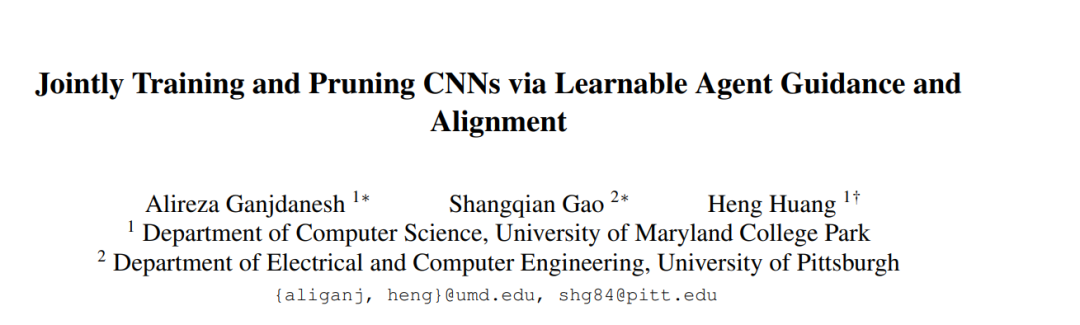 【CVPR2024】通过可学习智能体指导和对齐共同训练和剪枝CNNs-CSDN博客