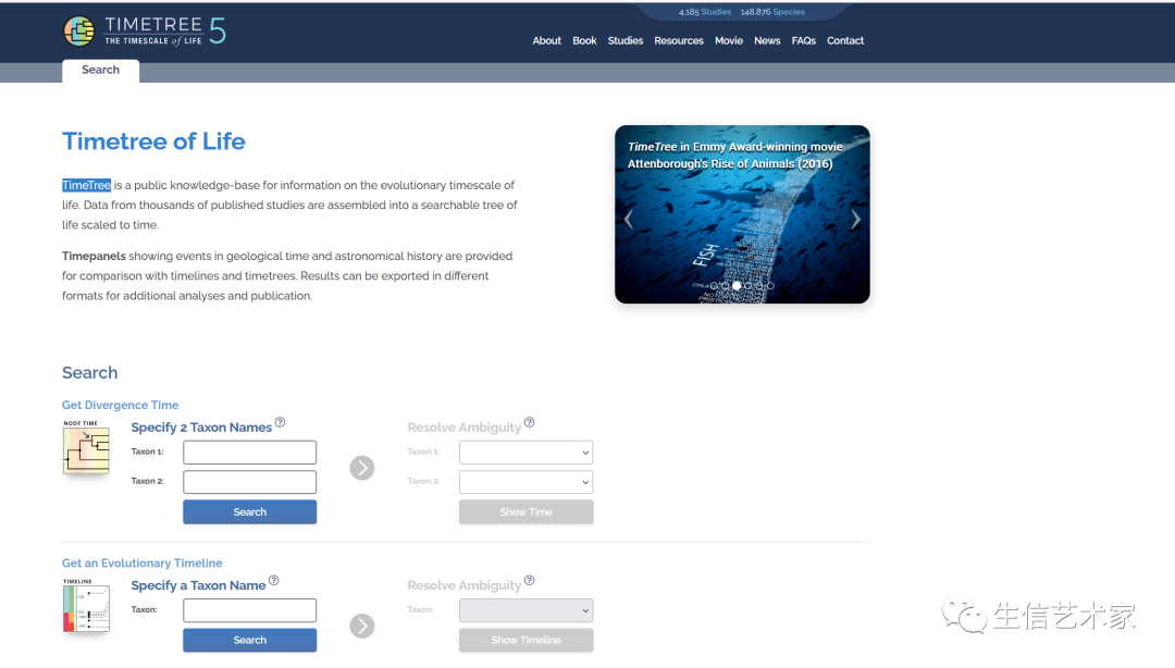 物种分歧时间、分子进化速率计算（TimeTree、PAML mcmctree、codeml 、MEGA 看这一篇文章就够！)_mcmtree-CSDN博客
