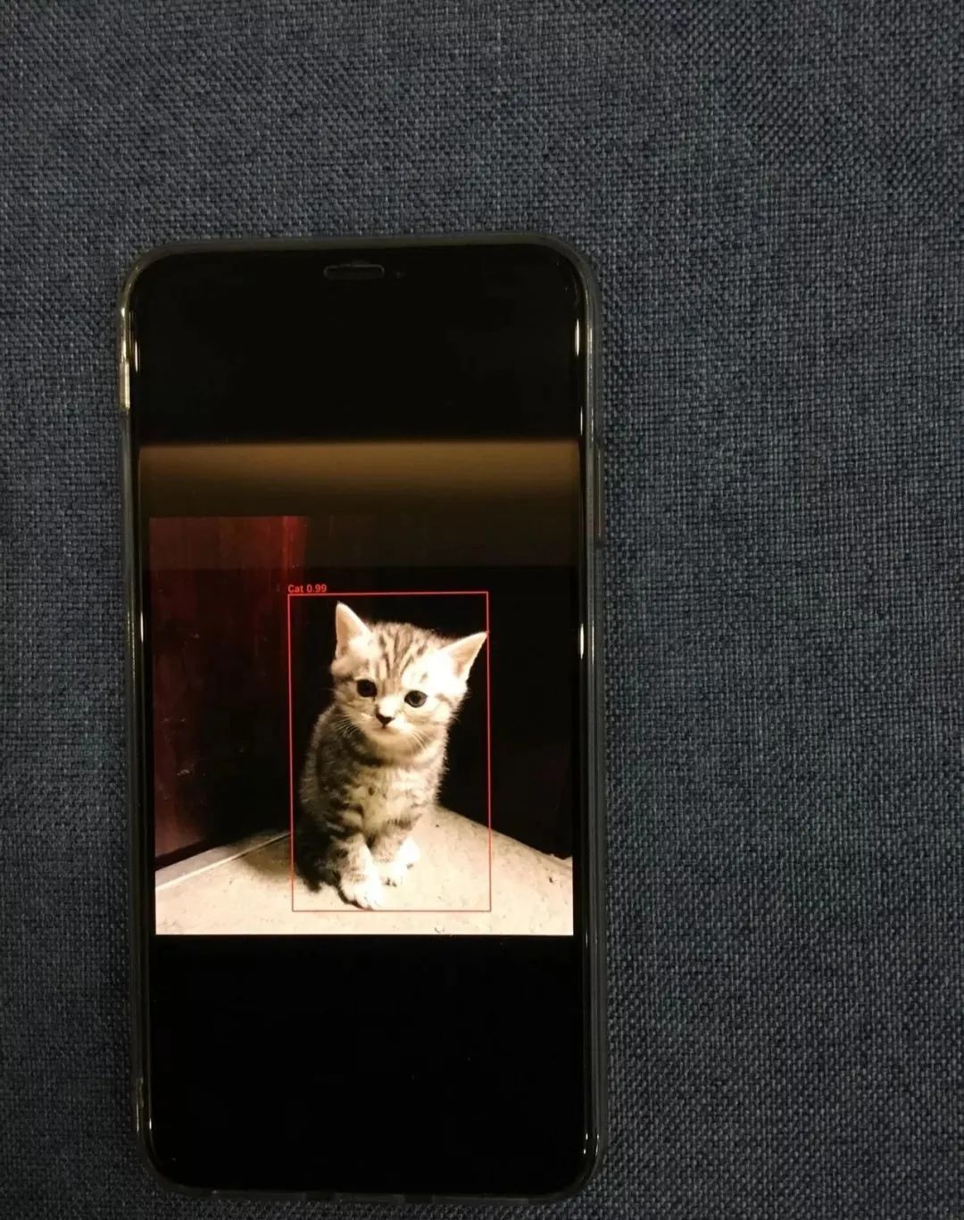 基于手机系统的实时目标检测-CSDN博客