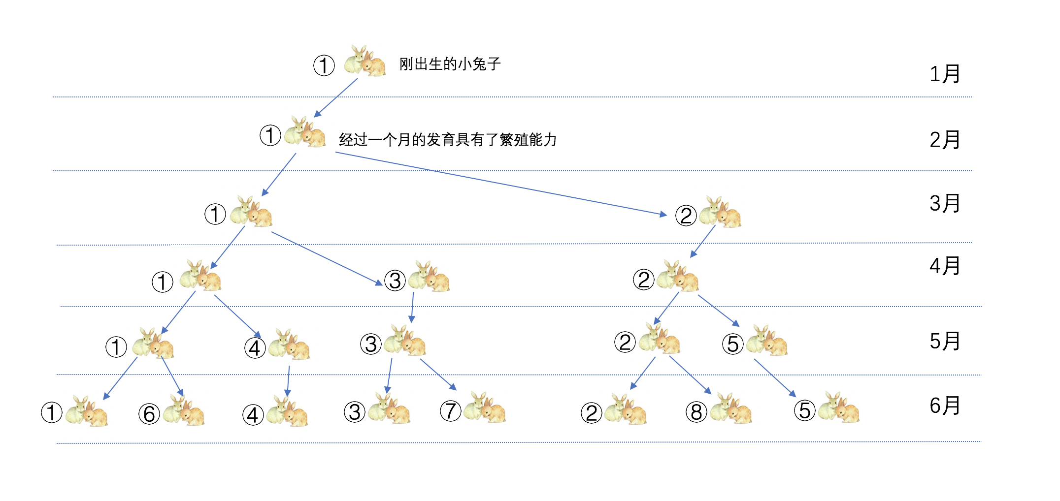 Python入门小项目 斐波那契数列(含源码)斐波那契数列编程python Csdn博客