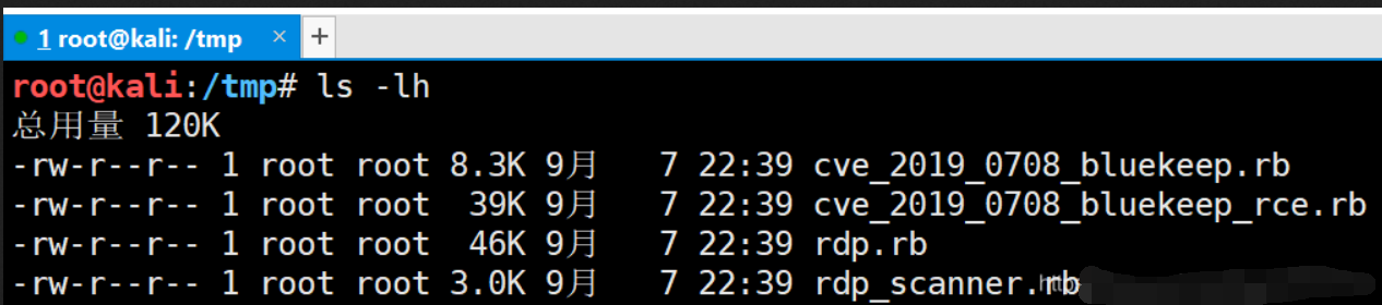 【漏洞复现】RDP远程桌面漏洞复现(CVE-2019-0708)_github cve-2019-0708-CSDN博客