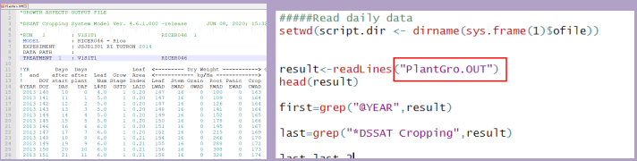 R语言在DSSAT模型的气候、土壤、管理措施等数据准备，自动化模拟和结果分析_r包dssat-CSDN博客