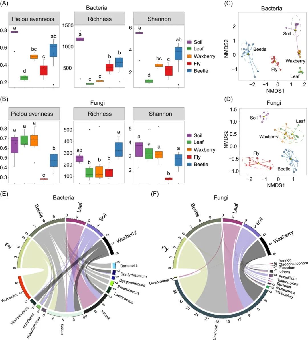 跟着iMeta学做图｜circlize绘制和弦图展示样本物种相对丰度-CSDN博客