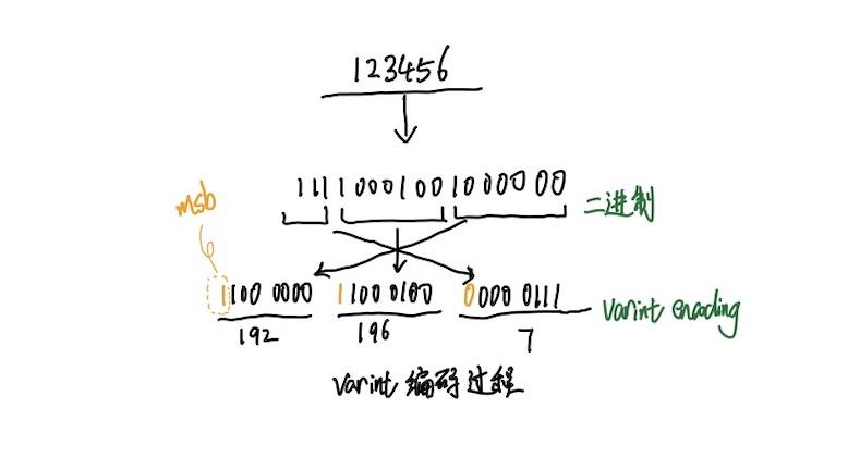 详解varint编码原理-CSDN博客