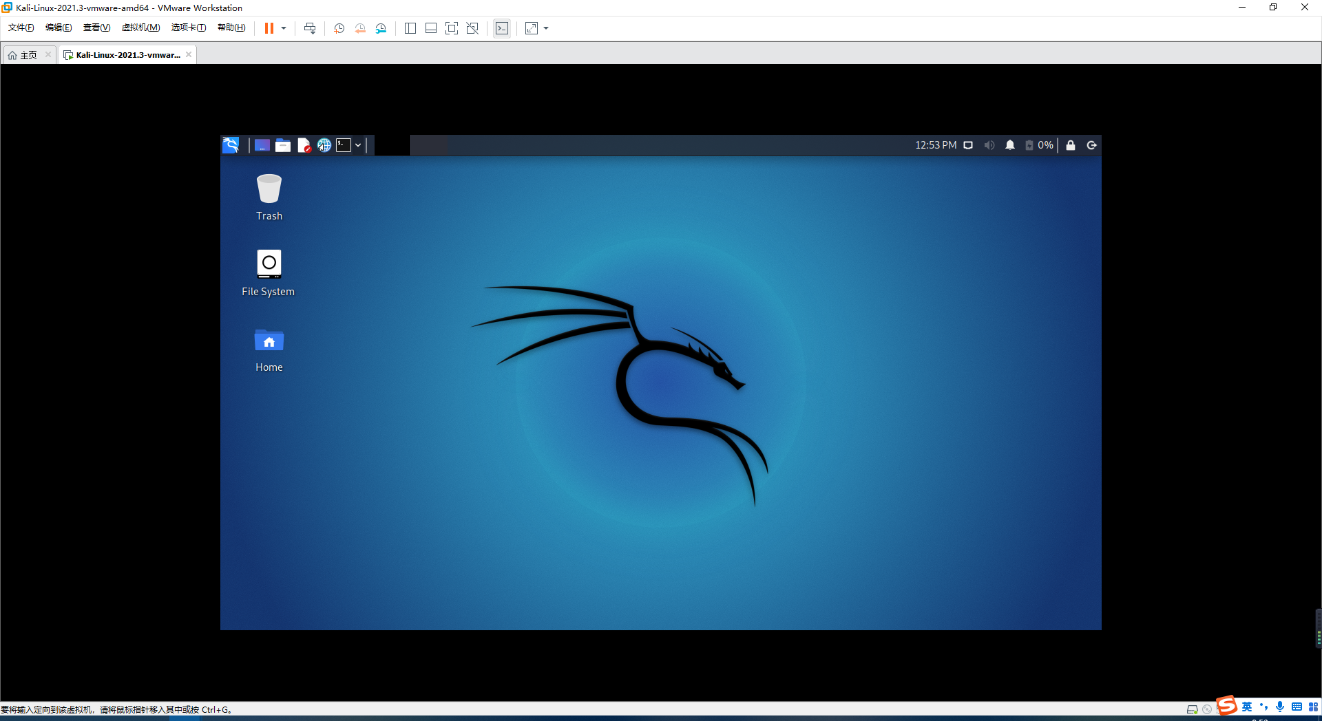 最新版本kali安装教程（VMware版本）_kali linux vmware-CSDN博客